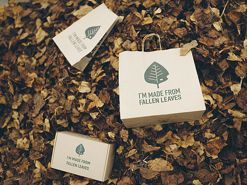 Releaf – Paper from fallen leaves