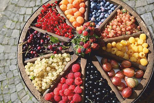 Das Bio-Herz pulsiert! Vielfalt und Genuss am Bio Marché